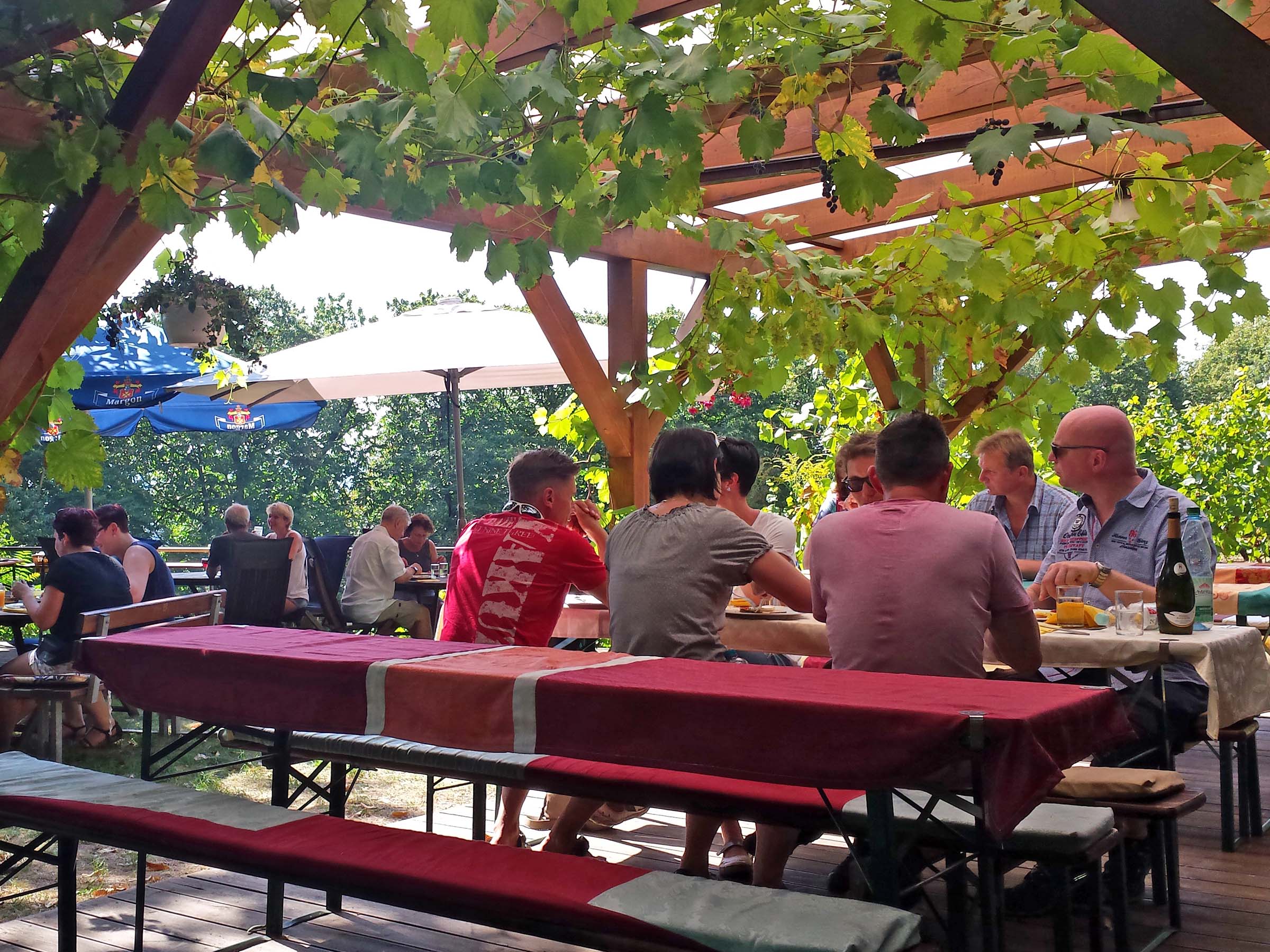 Tag des offenen Weinbergs 2019 Radebeul › Weinschank Walter